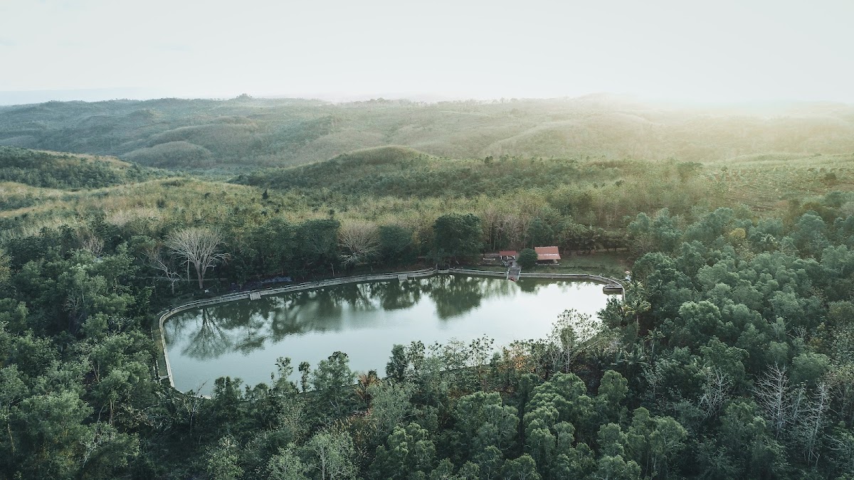 Telaga Kemuning: Wisata Alam Tenang di Tengah Hutan Gunungkidul