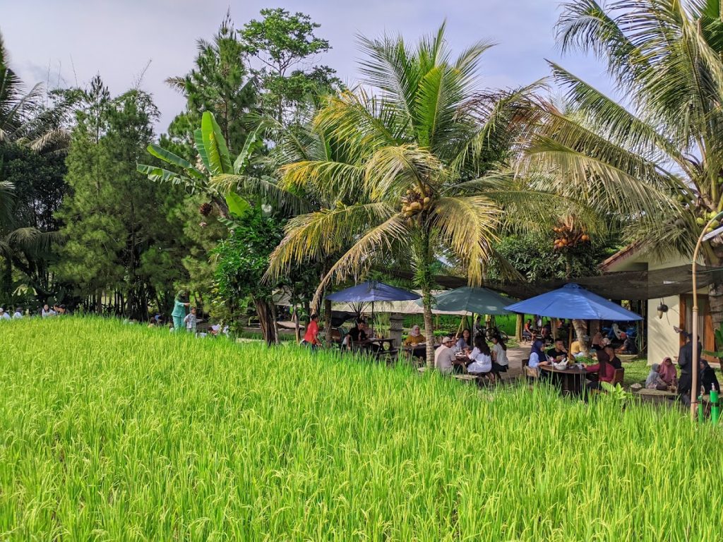 Kopi Klotok Jogja: Sajian Tradisional dalam Suasana Pedesaan yang Autentik
